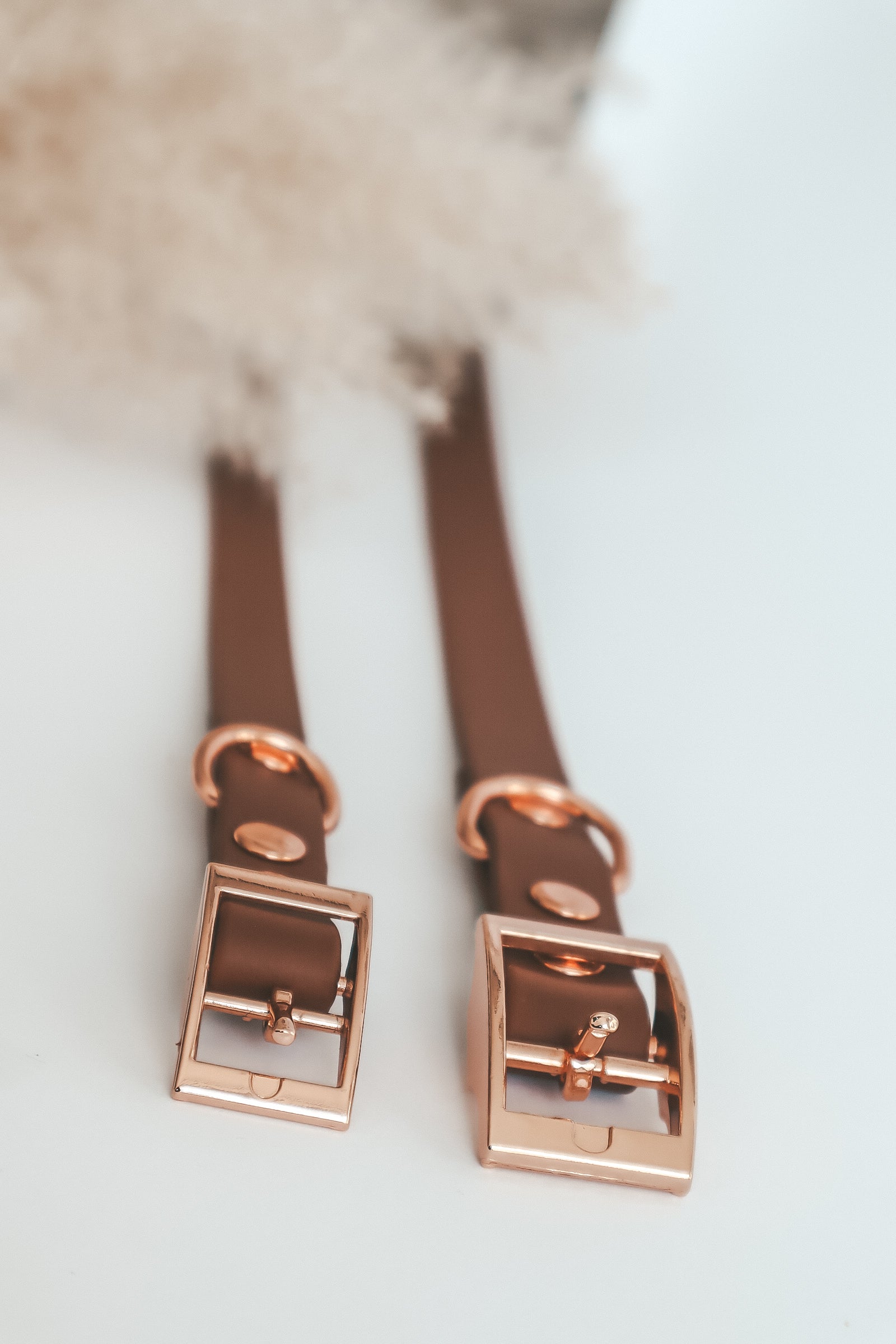 Dutchie Paws | Waterproof & Personalizable Pet Collars and Leashes