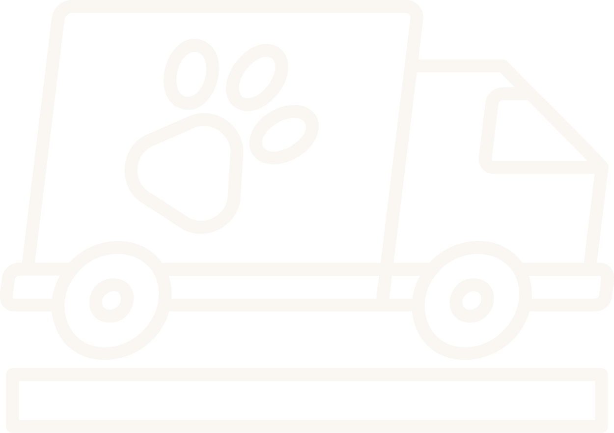 Dutchie Paws | Waterproof & Personalizable Pet Collars and Leashes